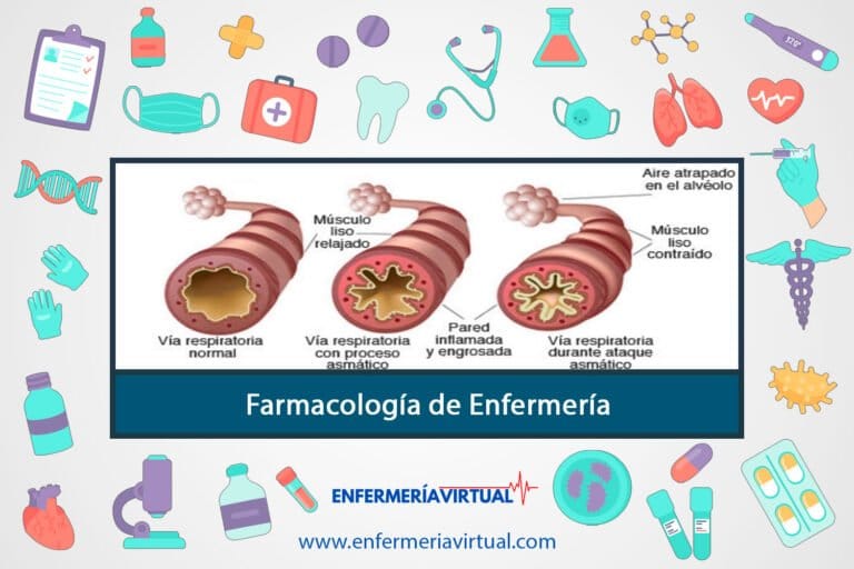 Broncodilatadores y antiasmáticos - Guía Enfermería 2024 ️
